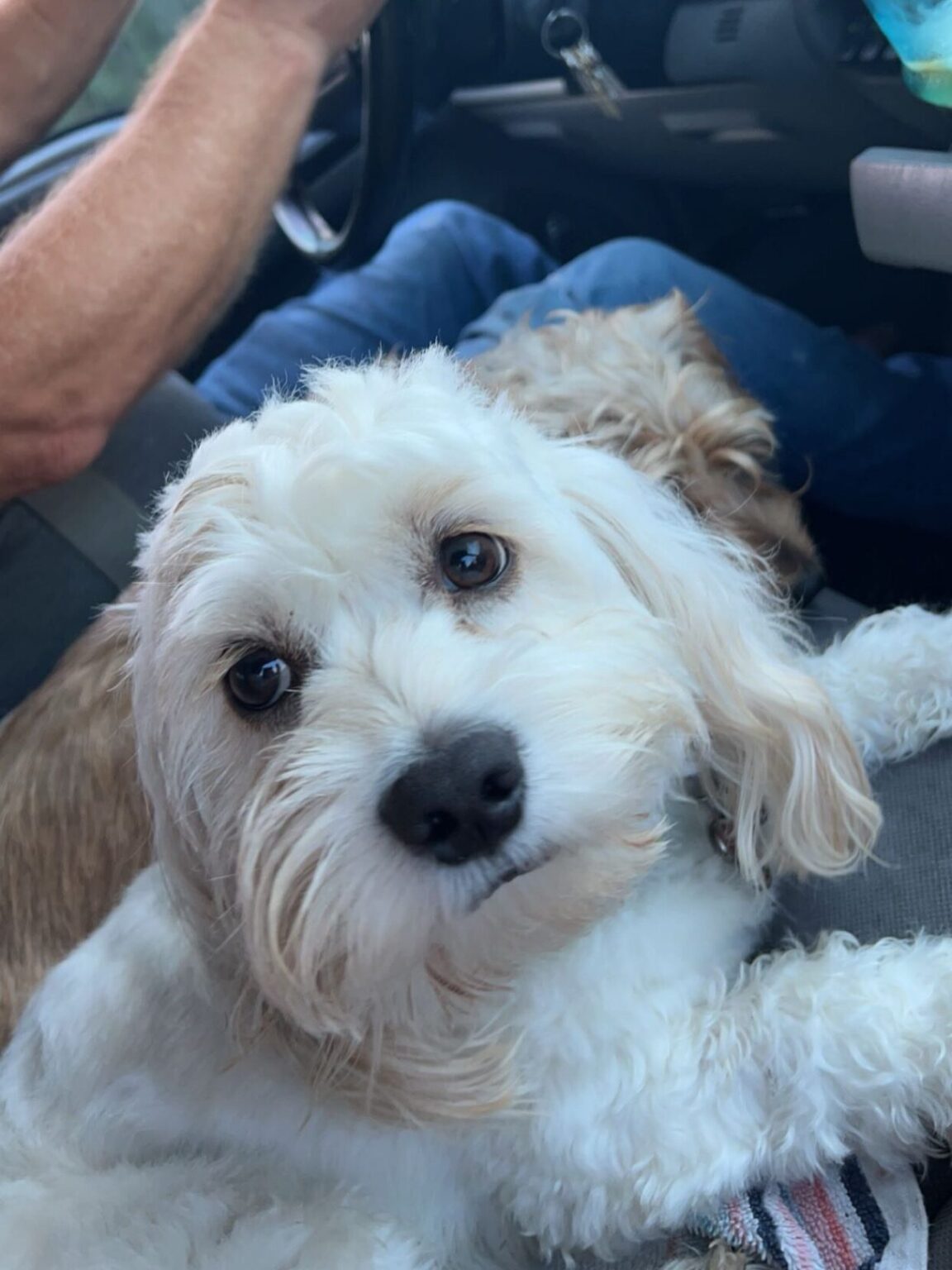 About Us - NBI Drainboard Sinks